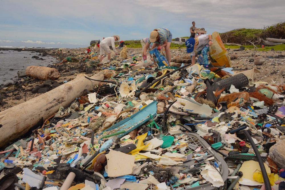 Plásticos en el mar